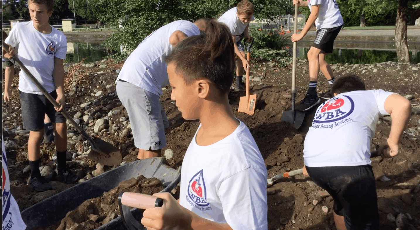 Home - Wairarapa Boxing Academy (WYCT)